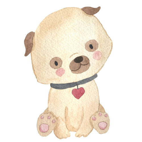 ANMA04E – Rach Cards